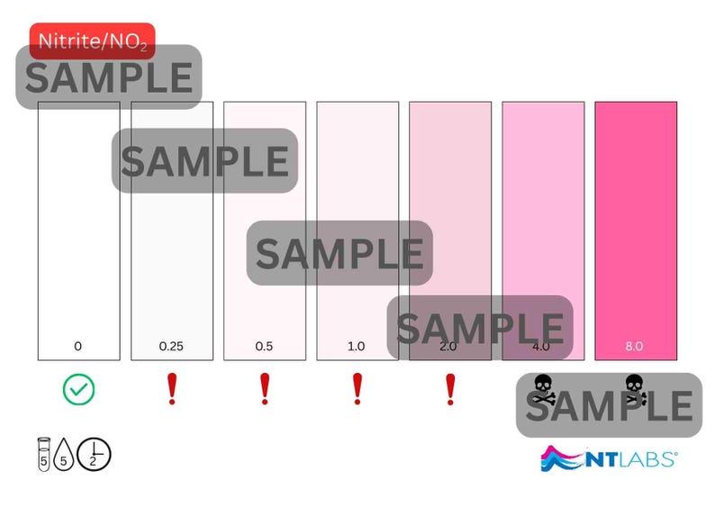NT Labs Aquarium Water Test Chart – Enlarged Digital & Printable Sheets ...