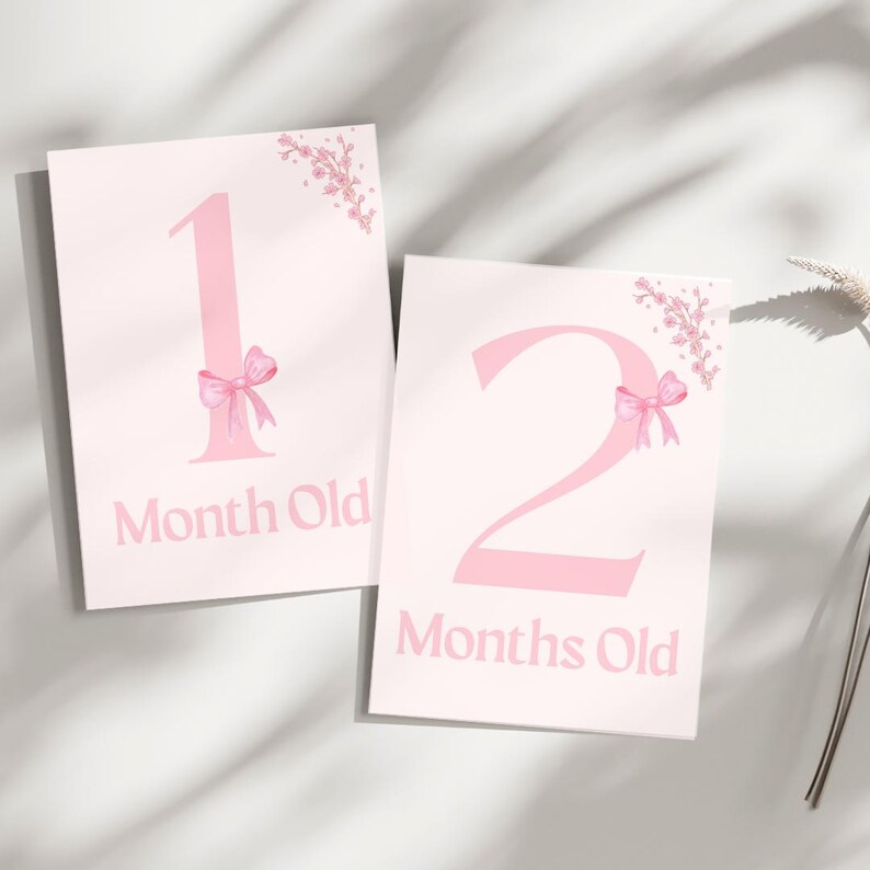 Printable Baby Girl Milestone Cards | Baby Monthly Photo Cards | 1-12 ...