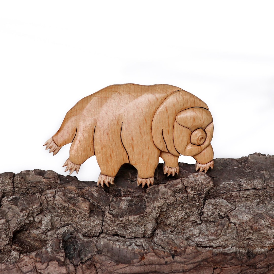 Tardigrade Wooden Magnet / Ornament, Water Bear Wood Carving, Scroll ...