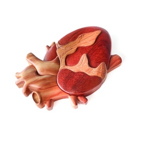 Anatomical Heart Intarsia Wall Hanging, Wooden Valentine's Gift, I Love ...