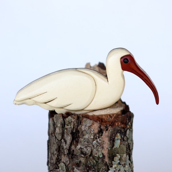 White Ibis - Etsy