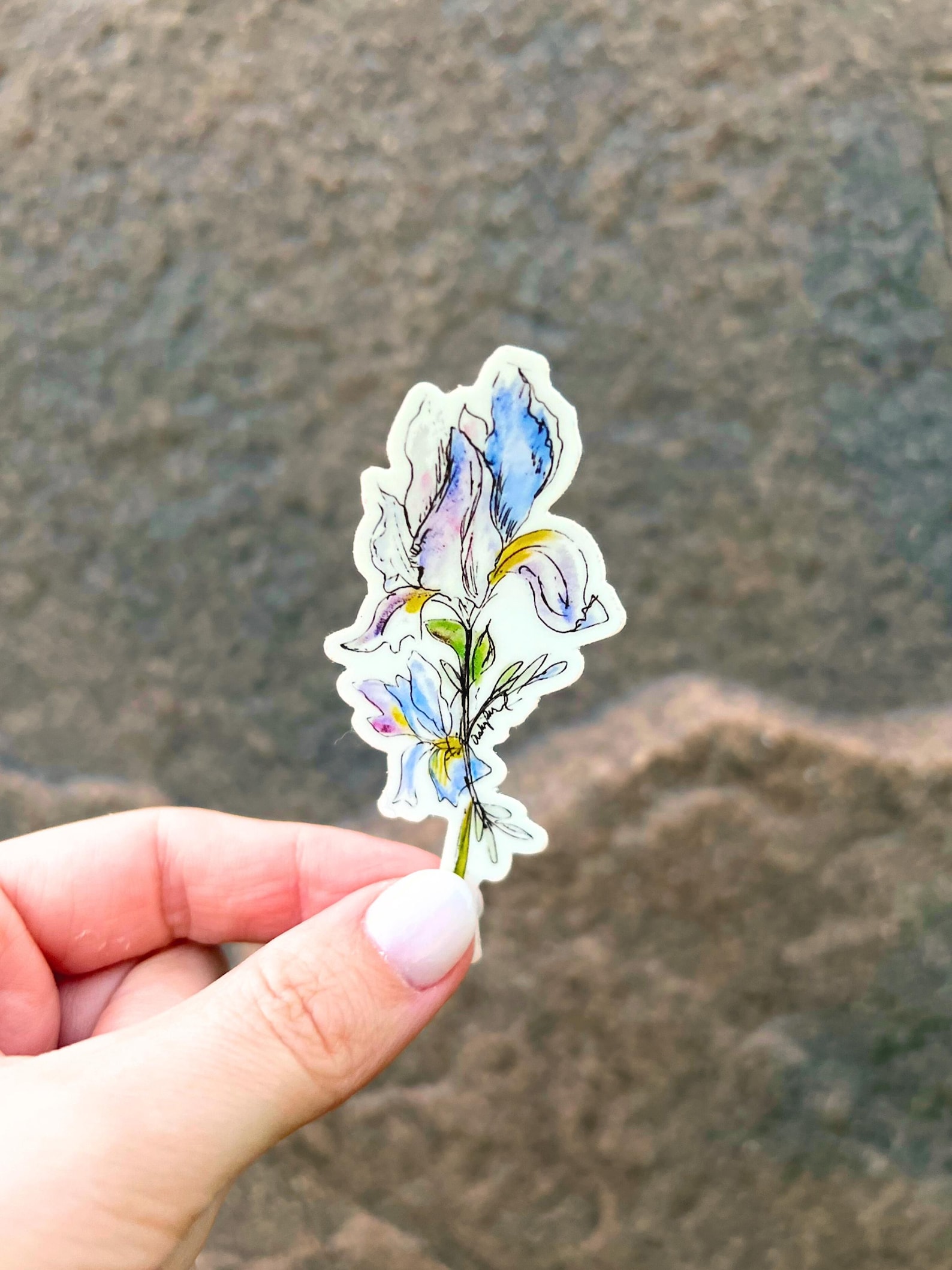 Iris Flower Sticker - Waterproof Physical Sticker - Etsy