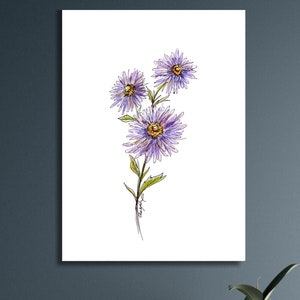 Aster Watercolor Illustration Flower Print Floral Wall Art Hamptons ...