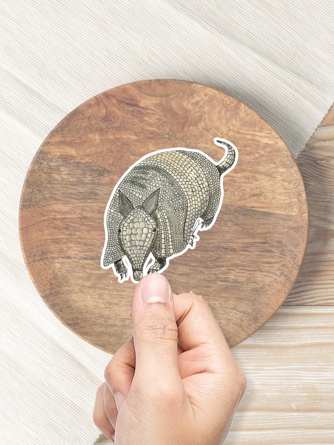 Armadillo Sticker Texas Sticker Gift for Texas Friends Animal Sticker ...