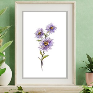Aster Watercolor Illustration Flower Print Floral Wall Art Hamptons ...