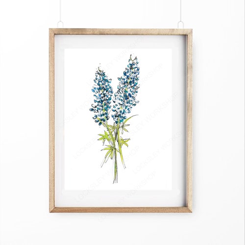 Bluebonnet Art Print Set of 2 From Watercolor Bluebonnet - Etsy