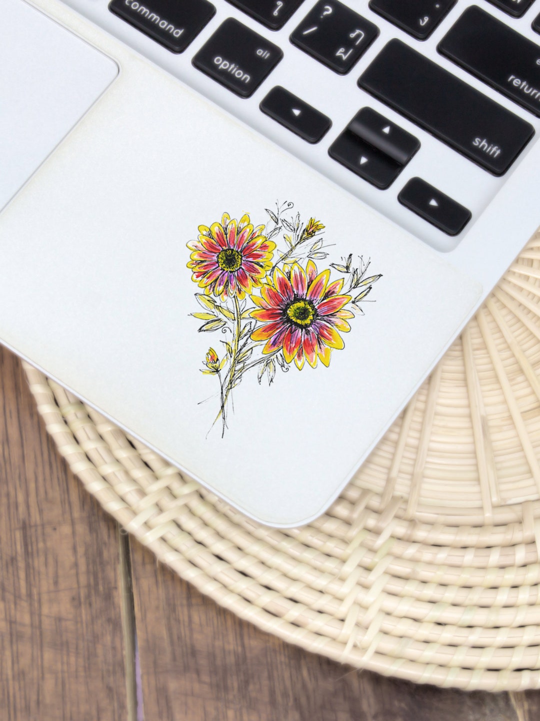 African Daisy Flower Sticker Without White Background Sticker Clear ...
