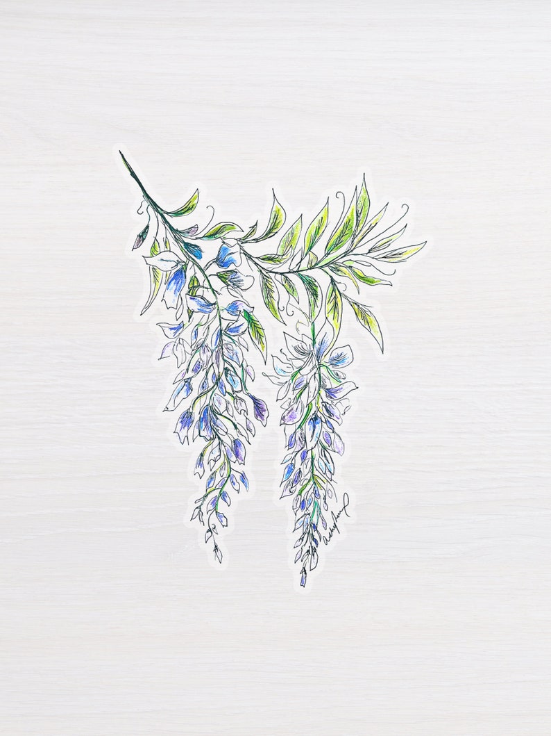 Wisteria Watercolor Vinyl Sticker, Original Art Stickers, Flower ...