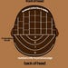 Knotless Braid Sizing/ Parting Chart E- BOOK | Digital and Printable - Etsy