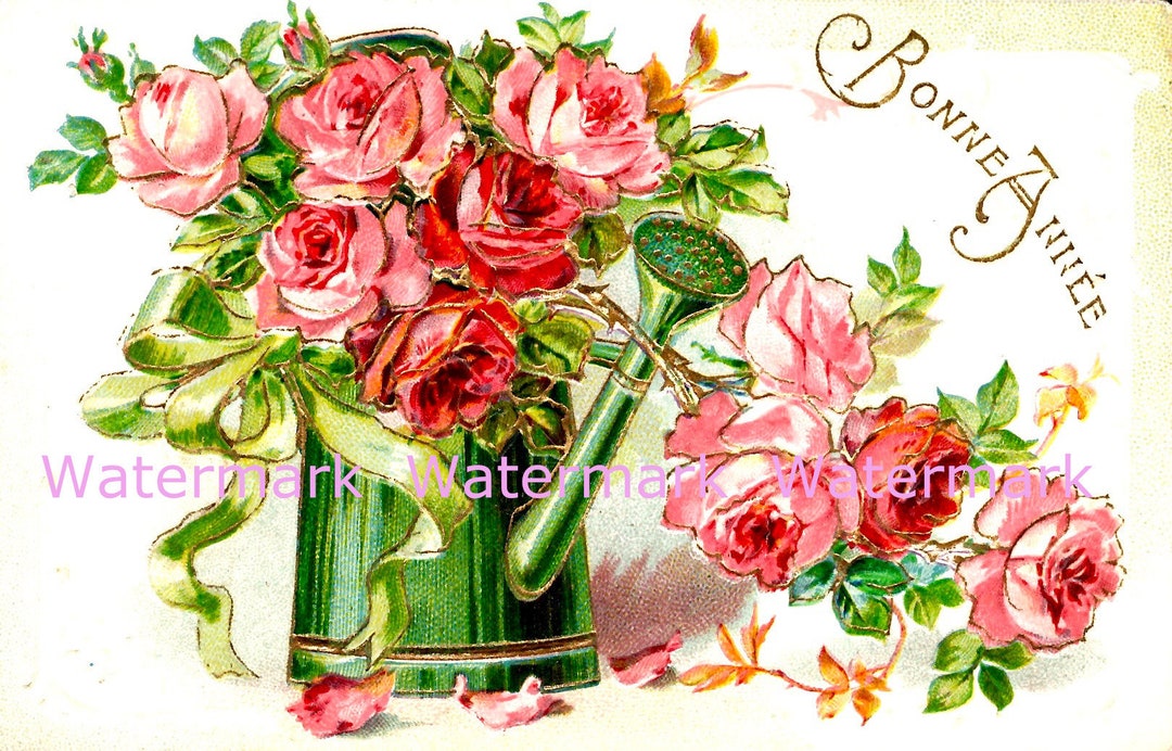Vintage French Birthday Greeting Card, Green Watering Can & Roses ...