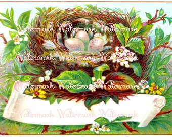 Bird Nest Stickers One Inch Round Seals - Etsy