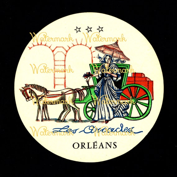 Vintage Orleans France Lady in Horse Carriage. Hotel Luggage | Etsy