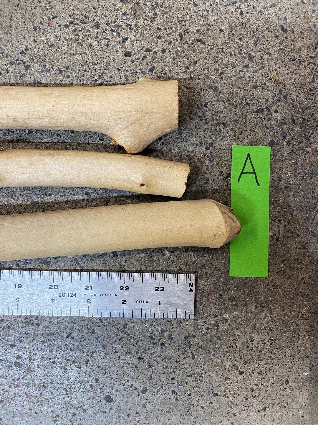 Natural Tree Branch Peeled Maple DIY Stick Bundle Eco - Etsy