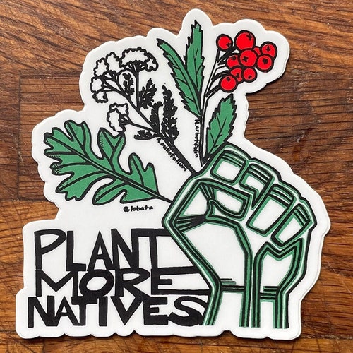 California Native Plants Sticker - Etsy