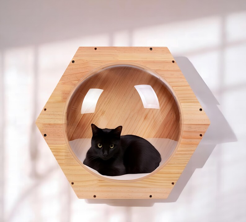 Wooden Cat Bubble Window –wall Mounted Hexagon Peek Hole Cat Wall ...
