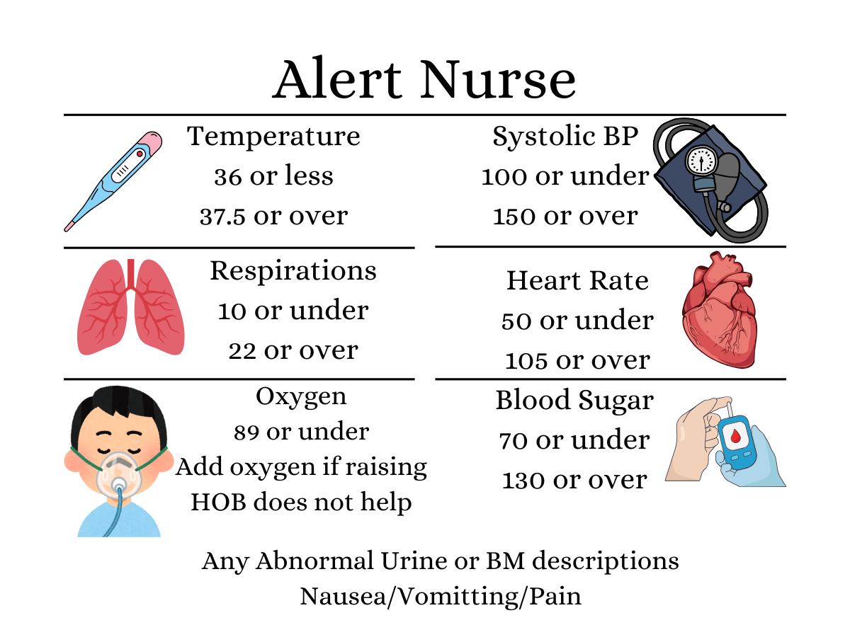 PCT/CNA Badge Buddy - Etsy