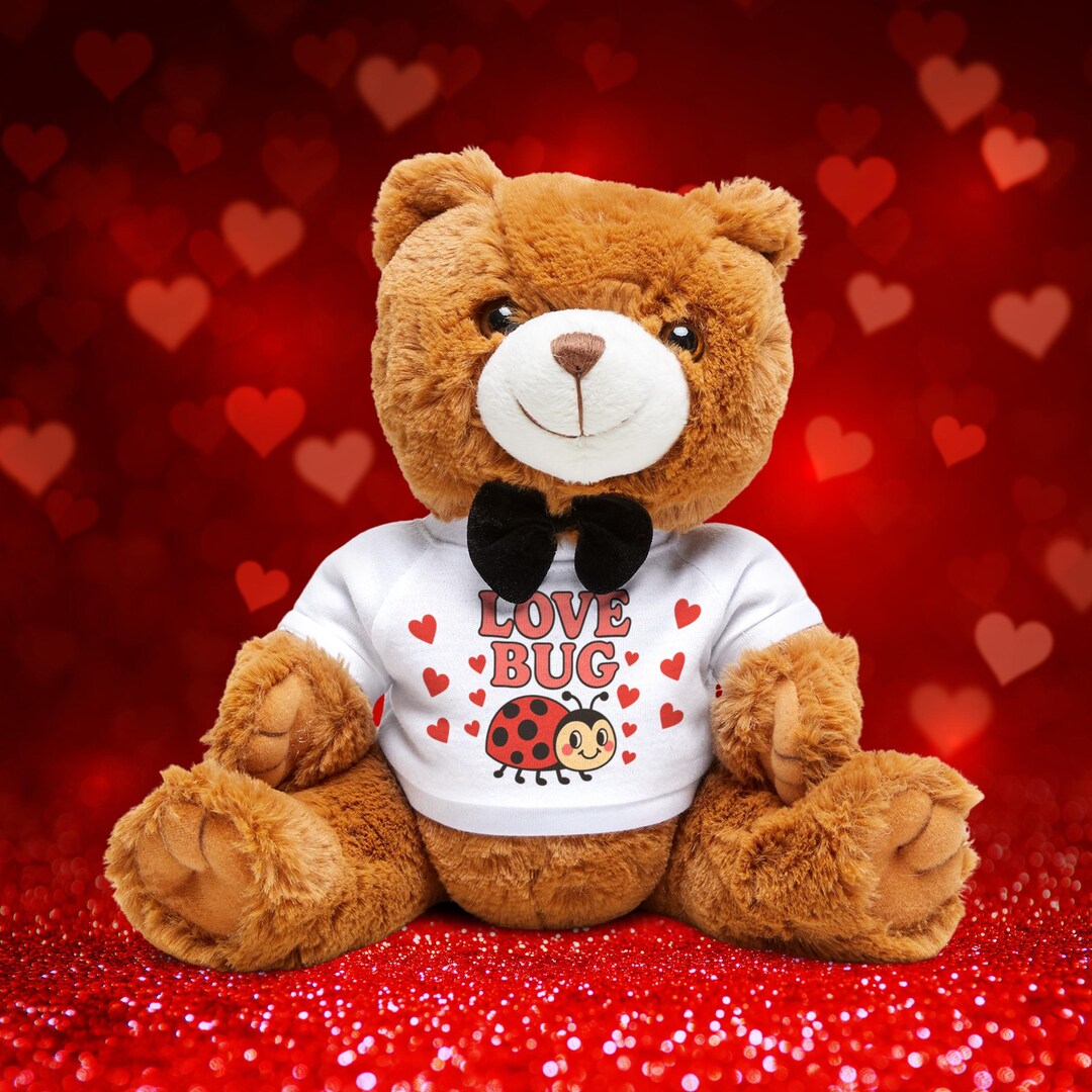 Love Bug Teddy Bear - Valentine's Day Plush Gift With Ladybug Design ...