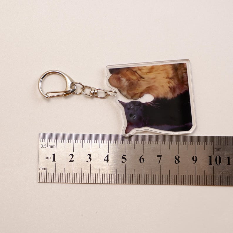 MEME Cat Head Emoji Pack Peripheral Characters Acrylic Keychains High ...