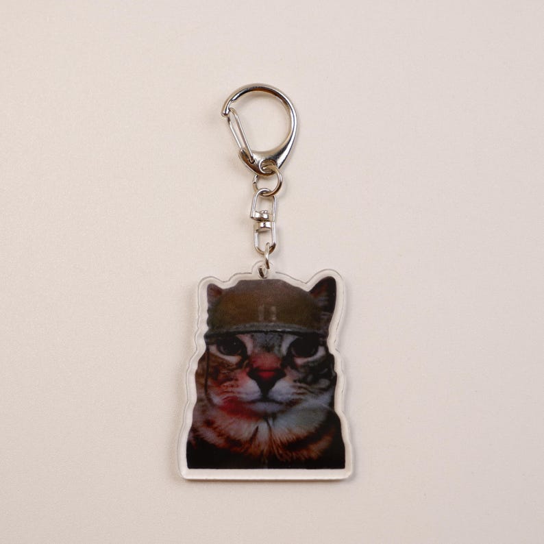 MEME Cat Head Emoji Pack Peripheral Characters Acrylic Keychains High ...