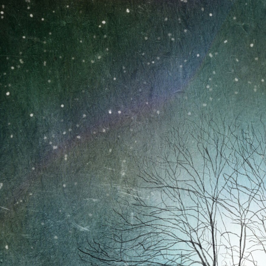Starry Starry Night, Tree Art Print.blue-tree Art Print Giclee Print ...