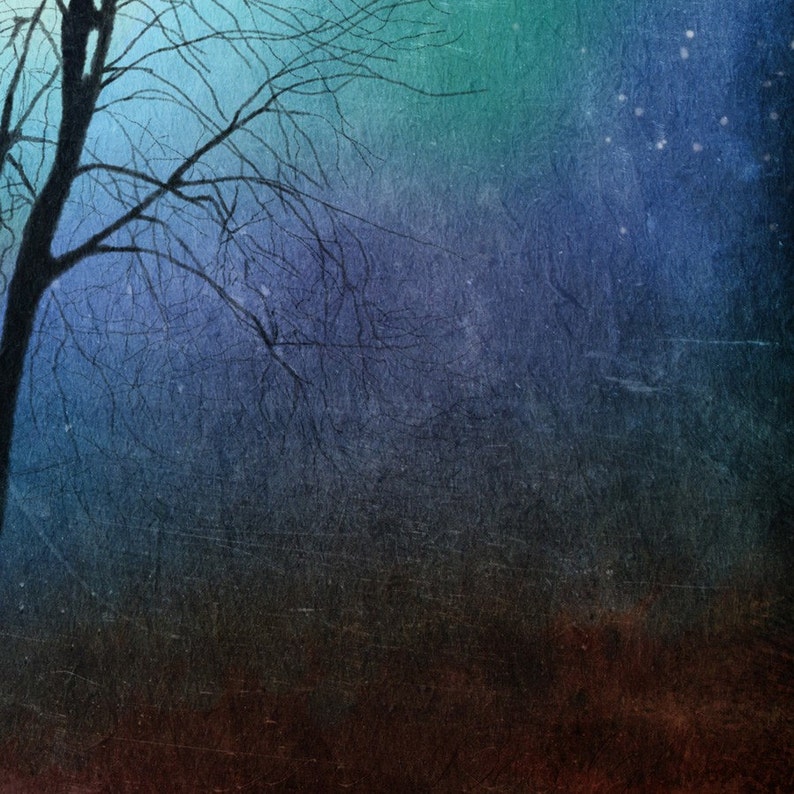 Starry Starry Night, Tree Art Print.blue-tree Art Print Giclee Print ...