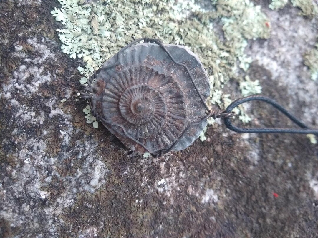 Wire Wrapped Ammonite Impression Pendant - Etsy
