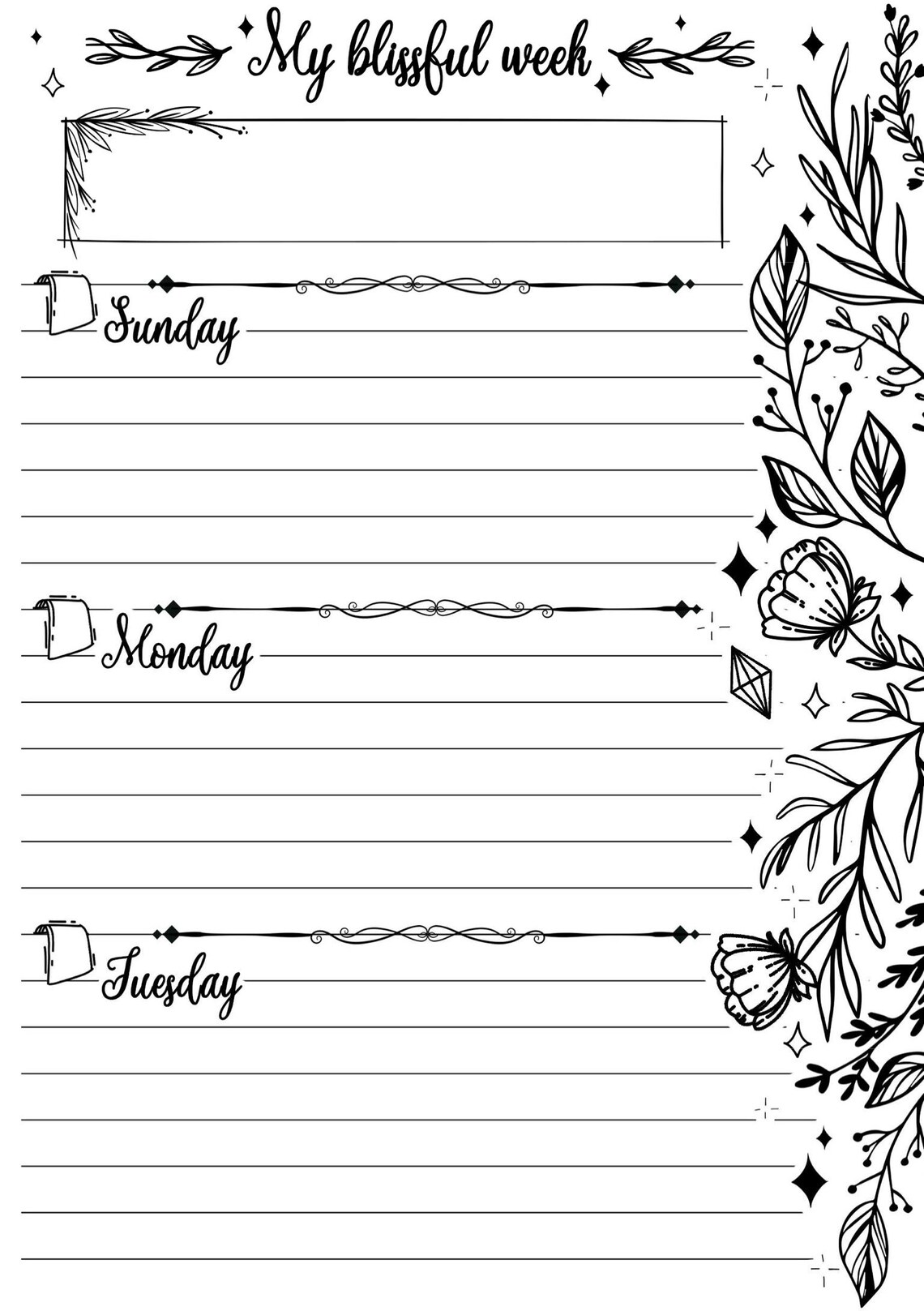 Witchy Weekly Planner - Etsy