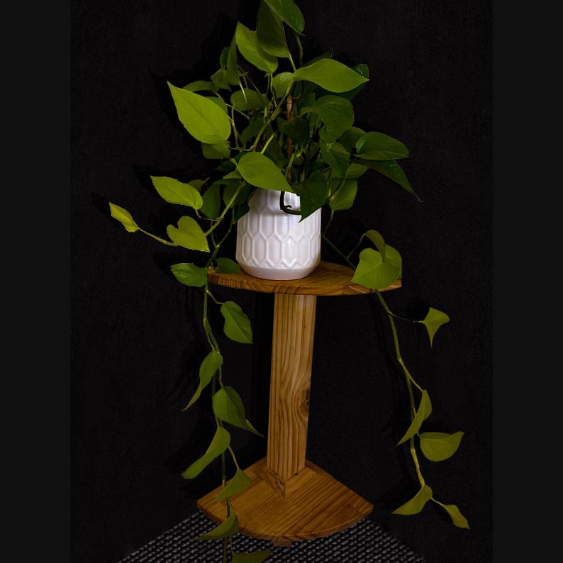 Corner Bloom Stand – Handcrafted Pine Wood Plant Stand, 70cm Tall ...