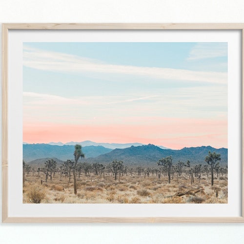 Joshua Tree Sunset Photograph Desert Print Southwest Decor - Etsy