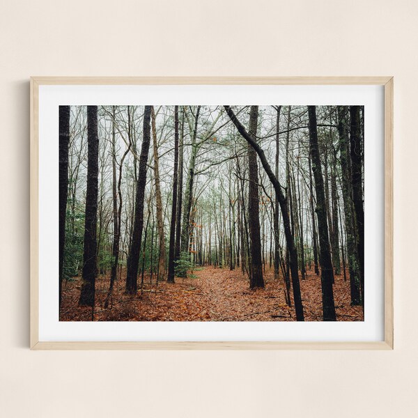 8x10 Nature Prints - Etsy