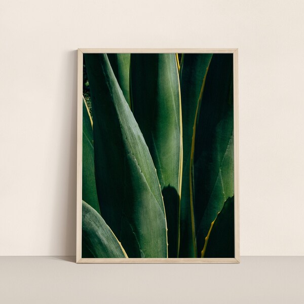Agave Print - Etsy