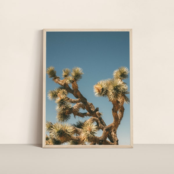 Joshua Tree Art - Etsy