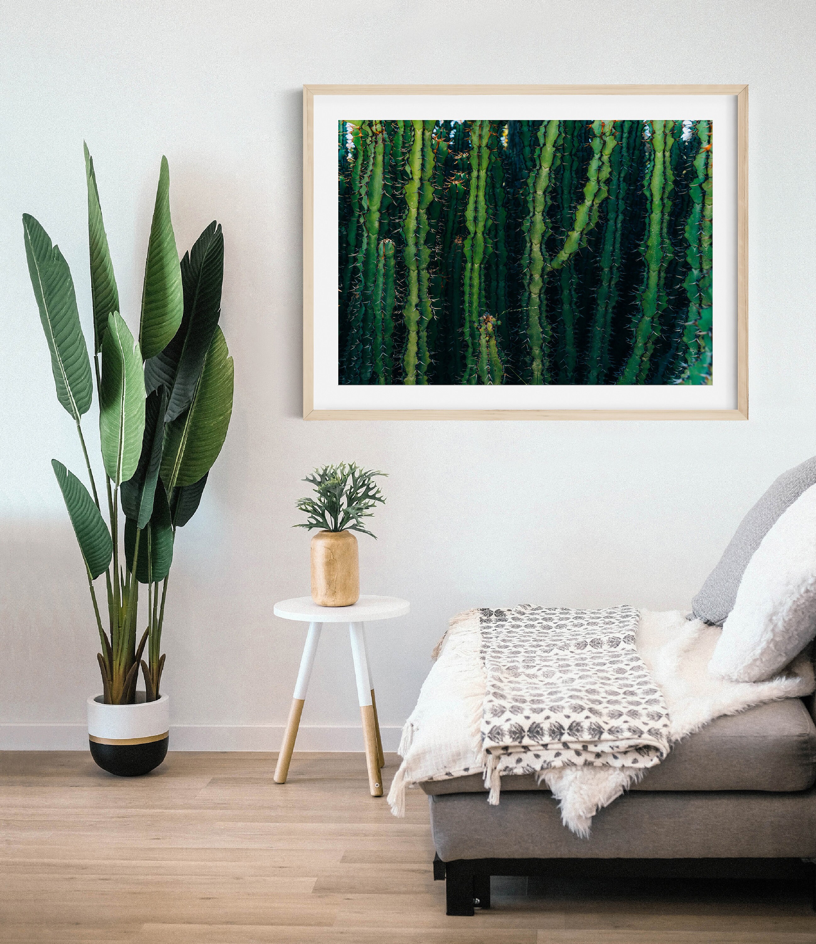 Cactus Wall Art, Digital Download, Cactus Photo, Large Cactus Wall Art ...