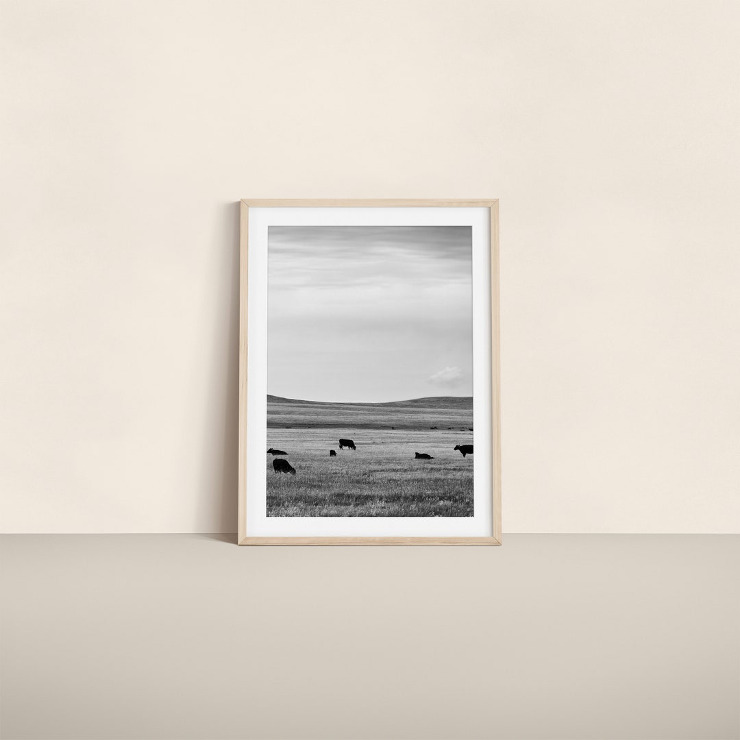 Minimalist Black and White Cow Print - Grazing Cows Landscape Photo ...