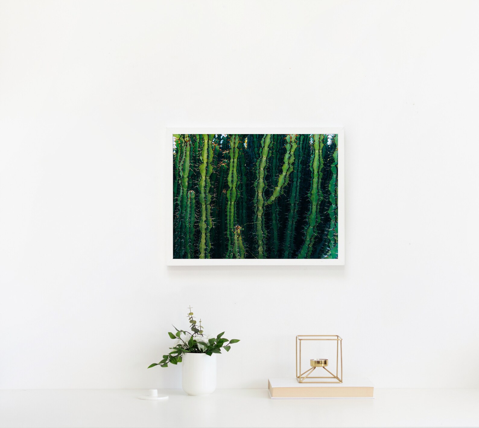 Cactus Wall Art, Digital Download, Cactus Photo, Large Cactus Wall Art ...