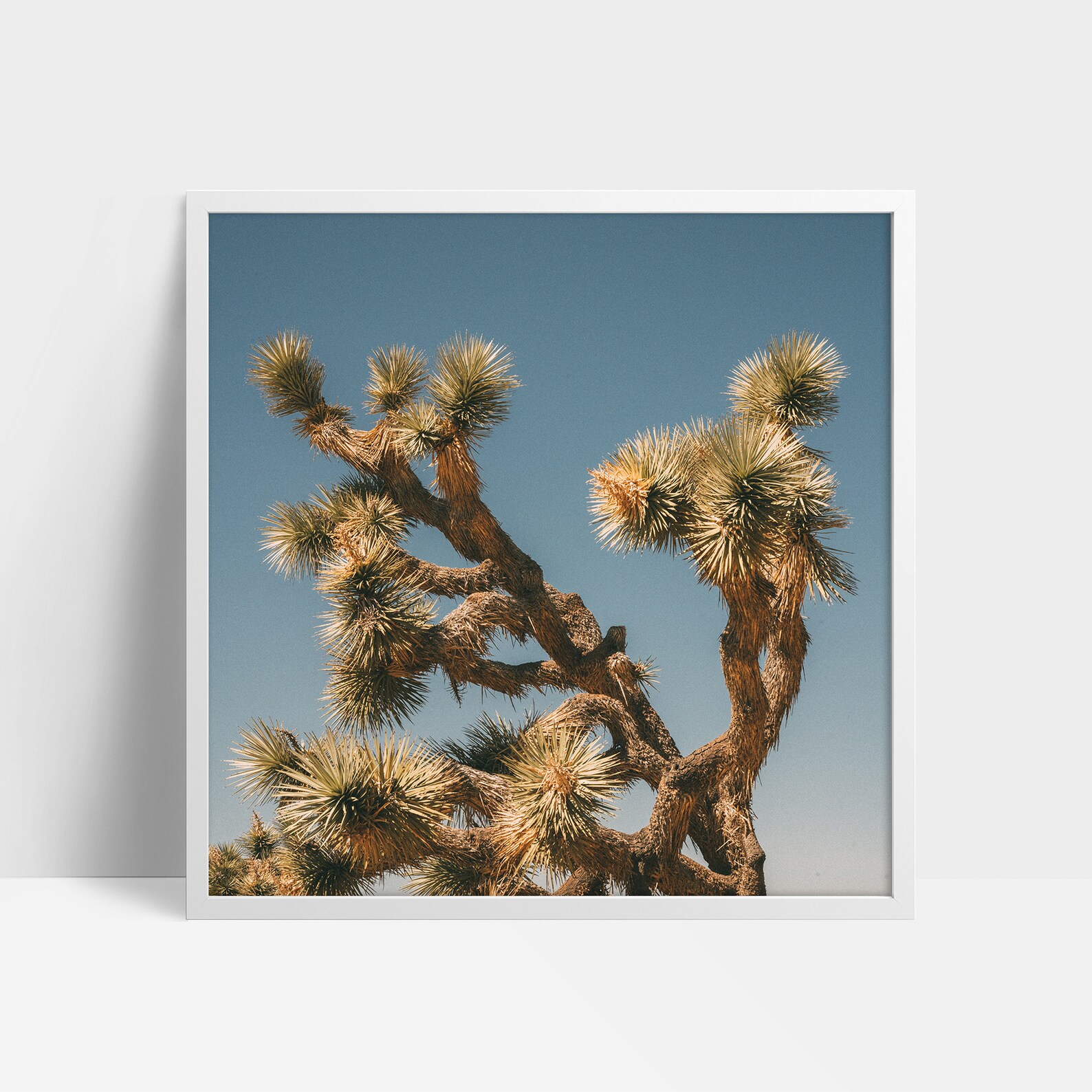 Joshua Tree Photo Printable Joshua Tree Art Modern Boho - Etsy