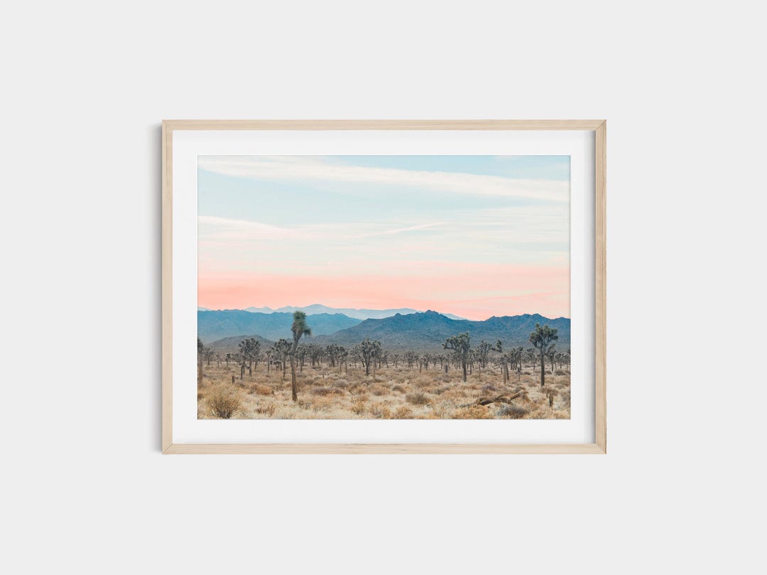 Joshua Tree Sunset Print: Golden Hour Desert Photography - Etsy