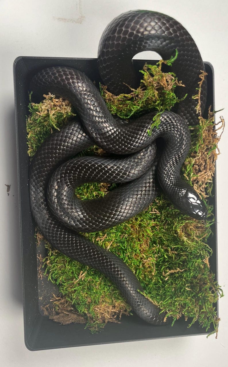 Reptile Humid Hide - Etsy
