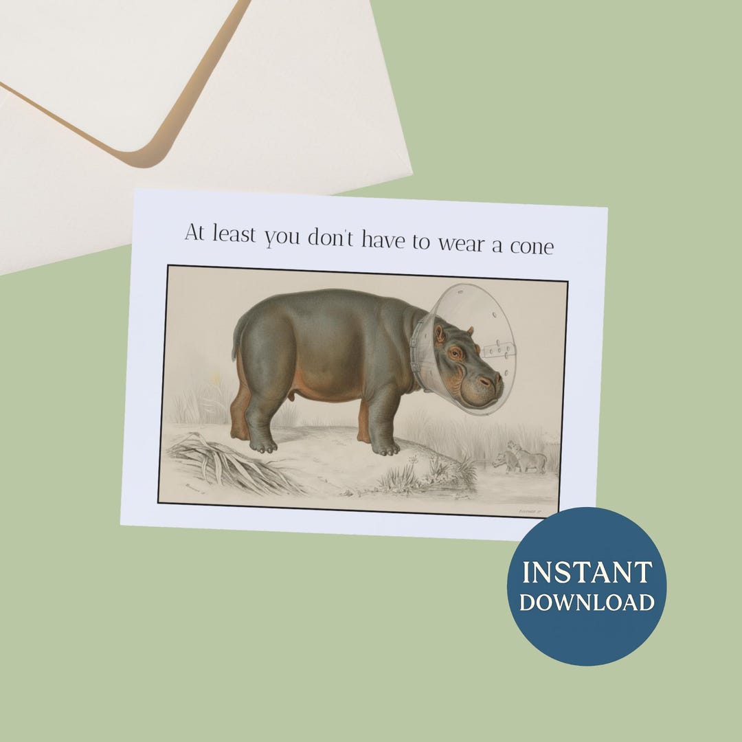 Funny Hippo Get Well Card: Absurd Humor, Printable A6 (digital Download ...
