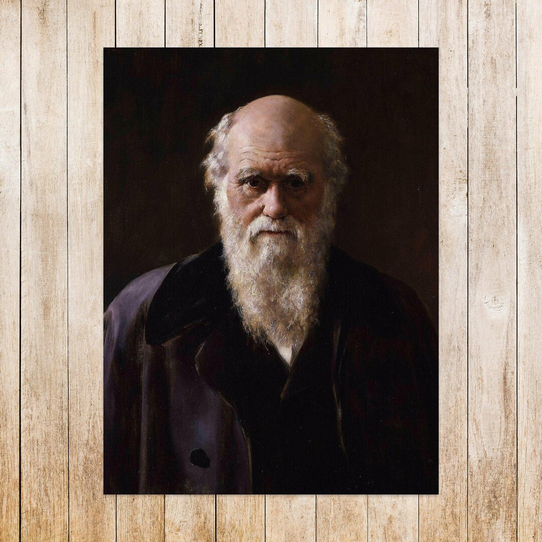 Reproduction Artwork of Charles Darwin - Portrait of Charles Darwin ...