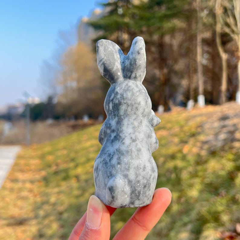 0.67LB Unique Natural Crystal Rabbit Carving,animal Carved,reiki ...