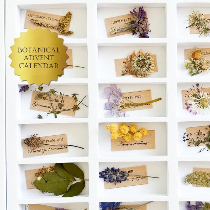 Hydrojug Advent Calendar 2025 for Sale - Etsy Canada