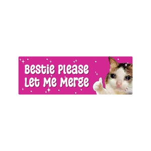 Bestie Please Let Me Merge Bumper Sticker or Magnet, Funny Crying Cat ...
