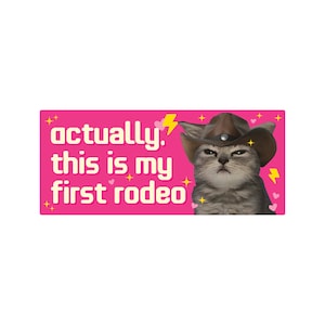 This is My First Rodeo Cat Funny Bumper Sticker or Magnet 7x3 - Etsy