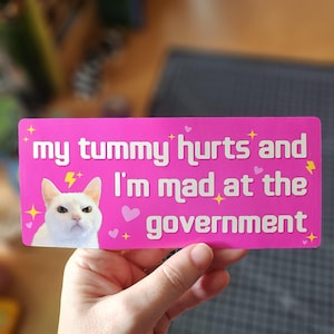 My Tummy Hurts and I’m Mad at the Government 7" Bumper Sticker or ...