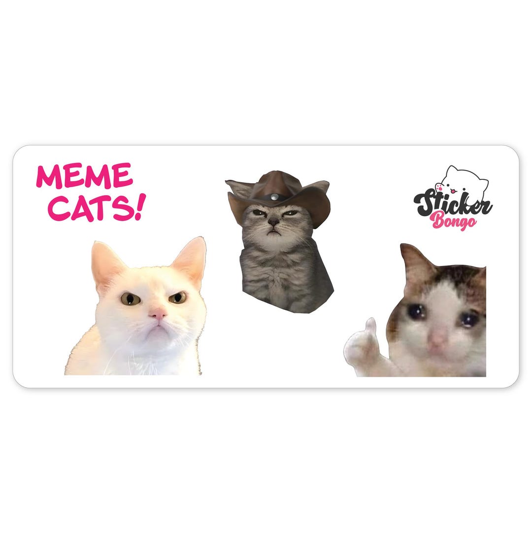 Meme Cats 2" Set of 3 Sticker Pack Holographic Vinyl Waterproof - Etsy
