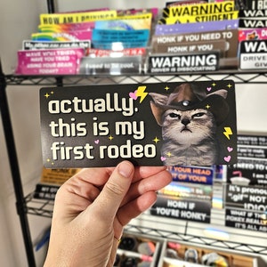 This is My First Rodeo Cat Funny Bumper Sticker or Magnet 7x3 - Etsy