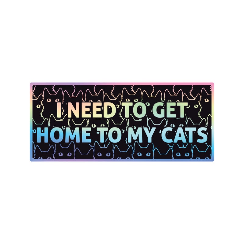 Cat Bumper Sticker - Etsy