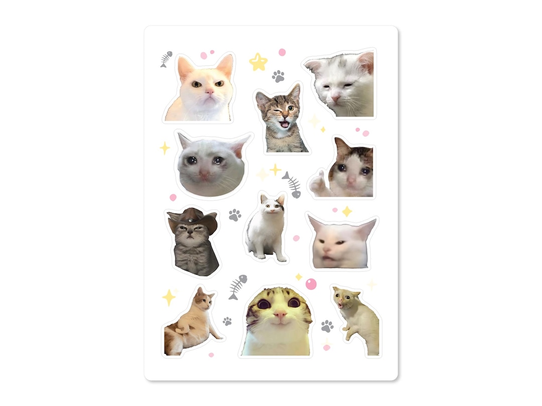 Meme Cats Sticker Sheet – 11 1.5" Stickers - Etsy