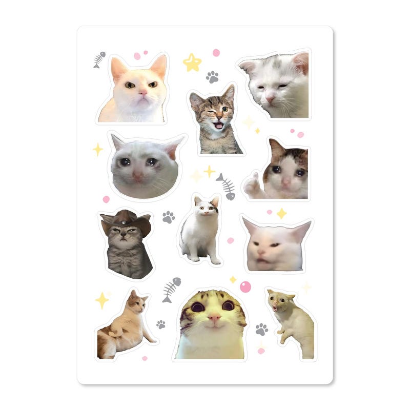 Cat Meme Stickers - Etsy